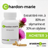 CHARDON-MARIE : Bienfaits, Propriétés, Posologie, Vertus